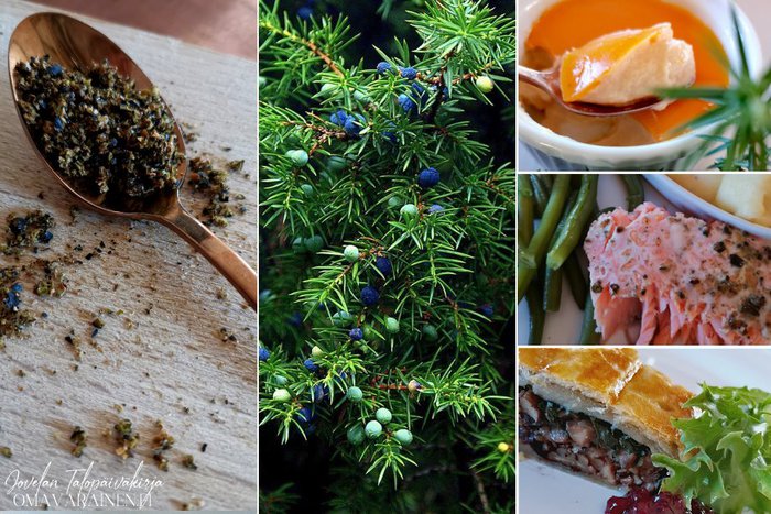 Katajanmarjareseptejä